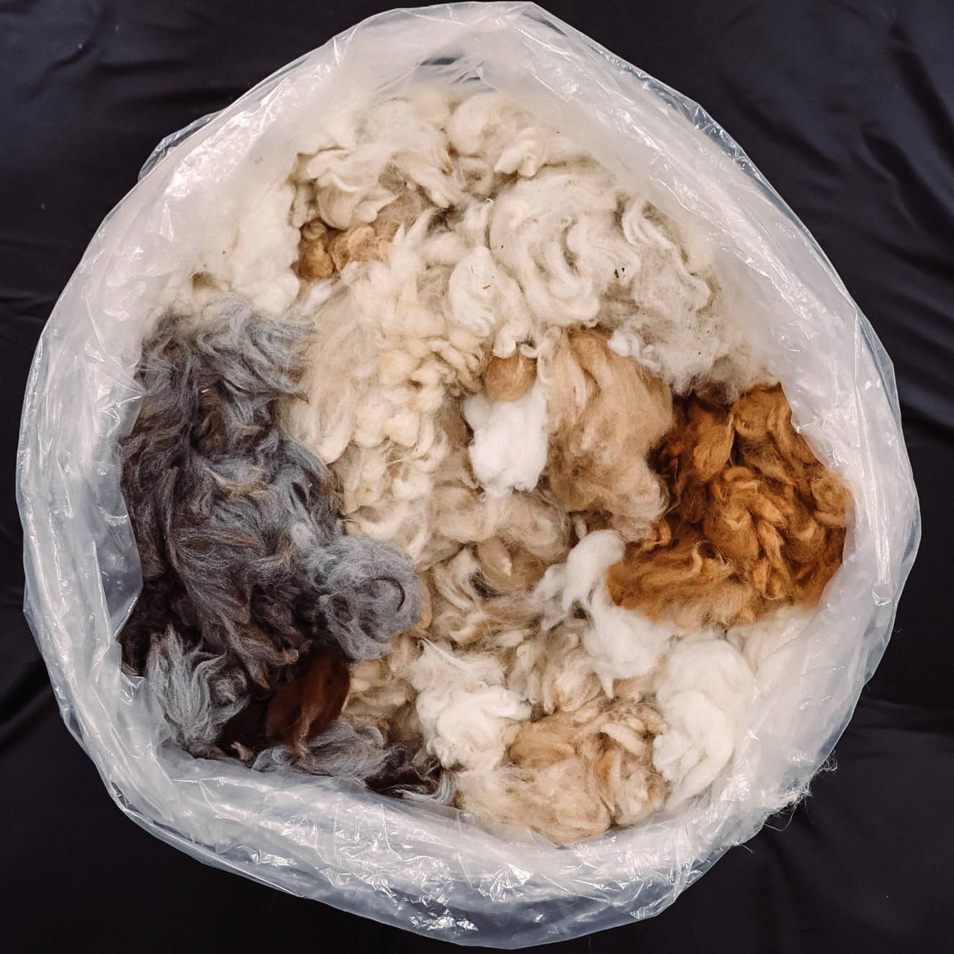 Raw Alpaca Fiber | Second or Third Cuts – Rancho Relaxo Farm