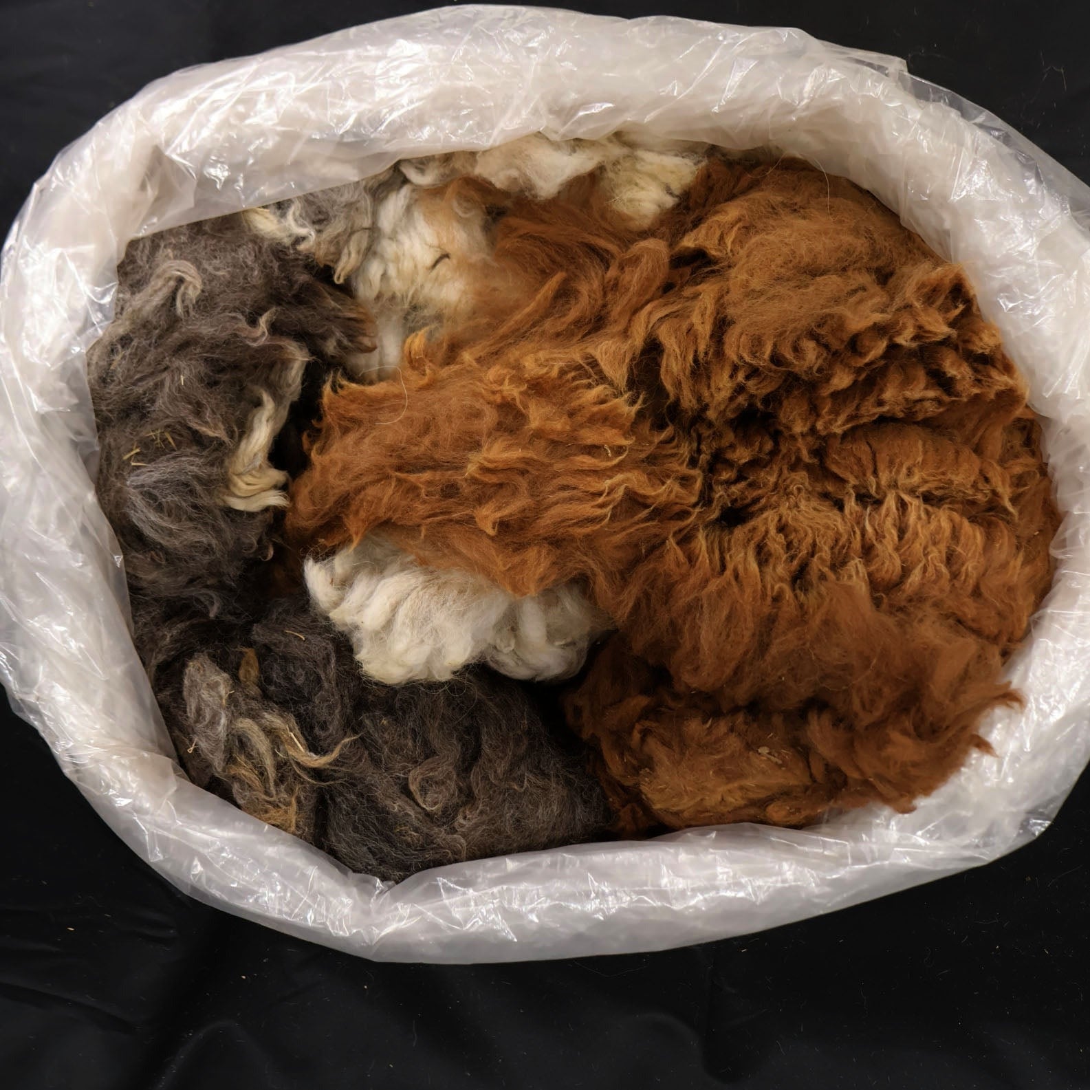 Raw Alpaca Fiber | Various Color Mixes – Rancho Relaxo Farm